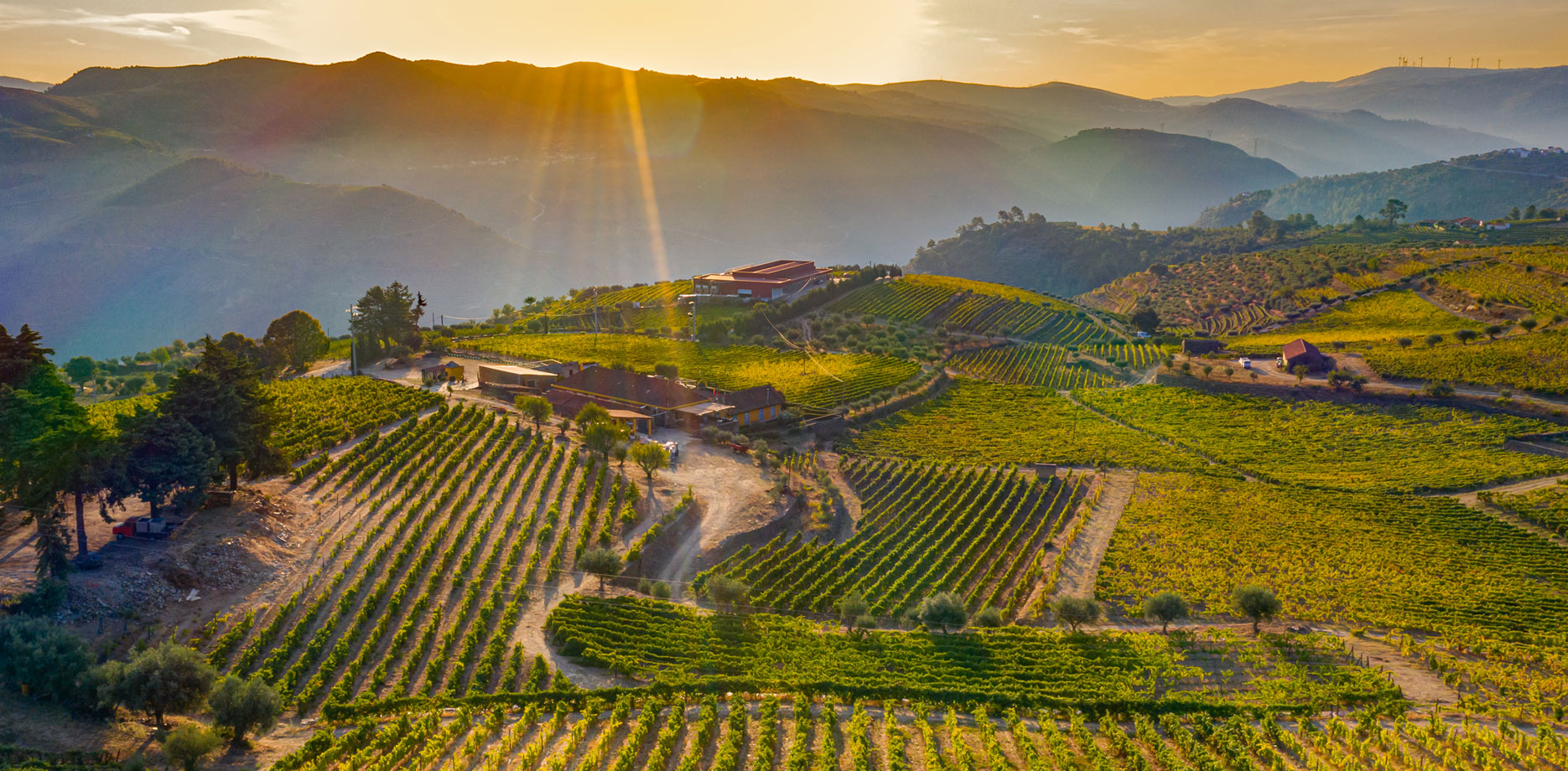 Transfer verso Venezia con tour della Strada del Prosecco